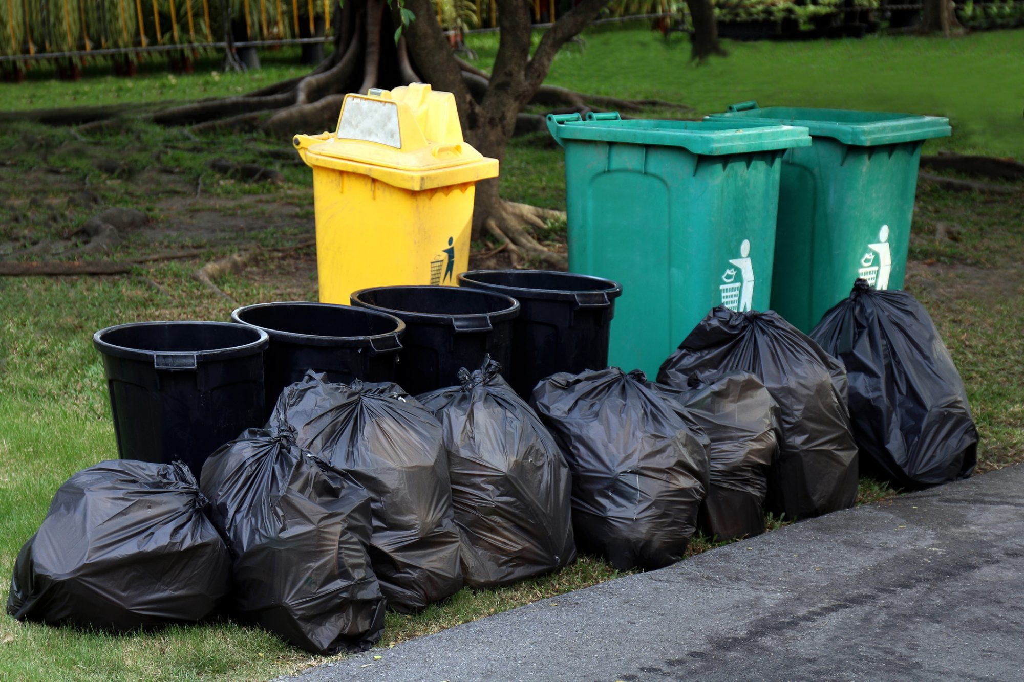 Public Sector Waste Collection Services | Councils Government