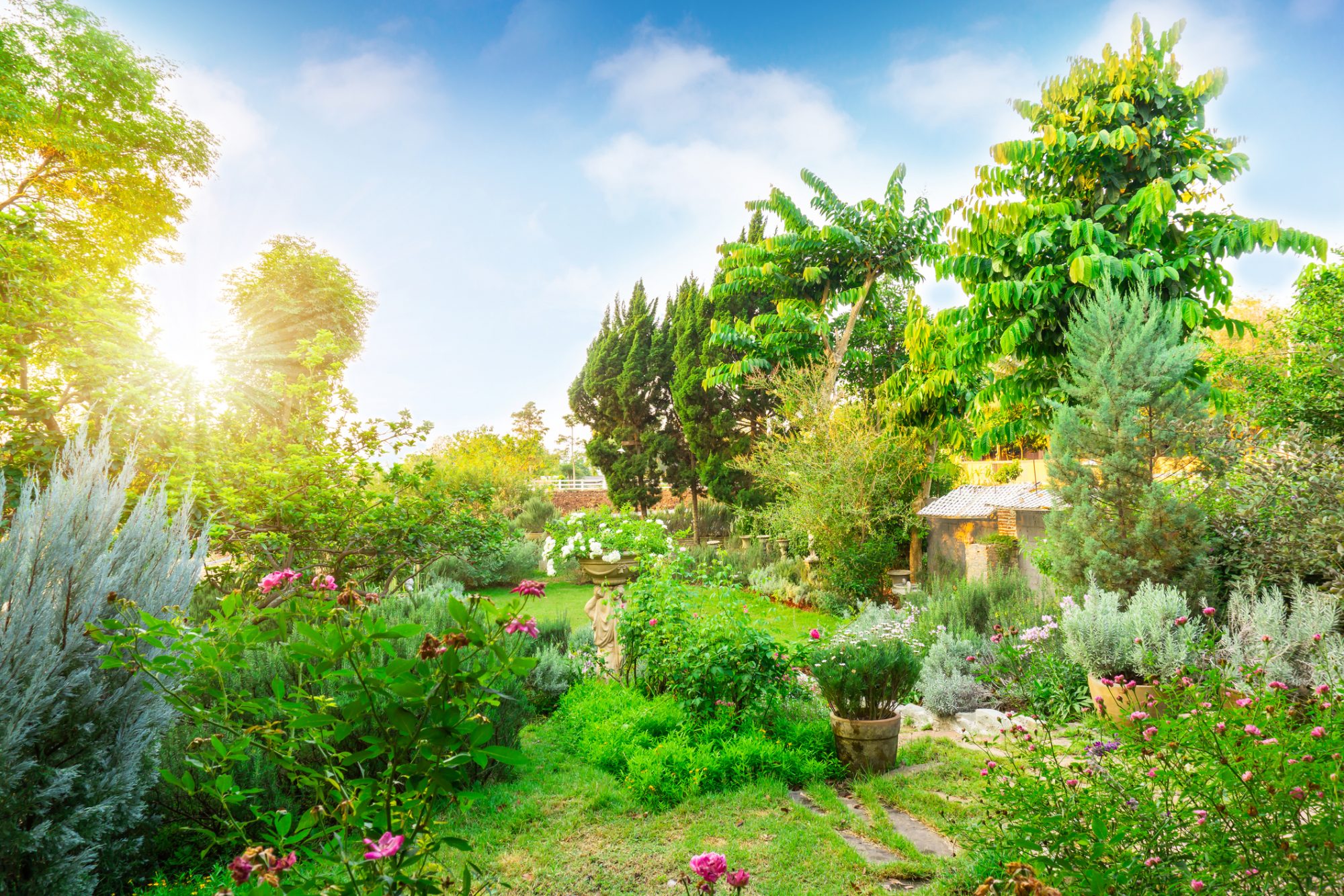 Contract Landscape Maintenance and Gardening Contractors