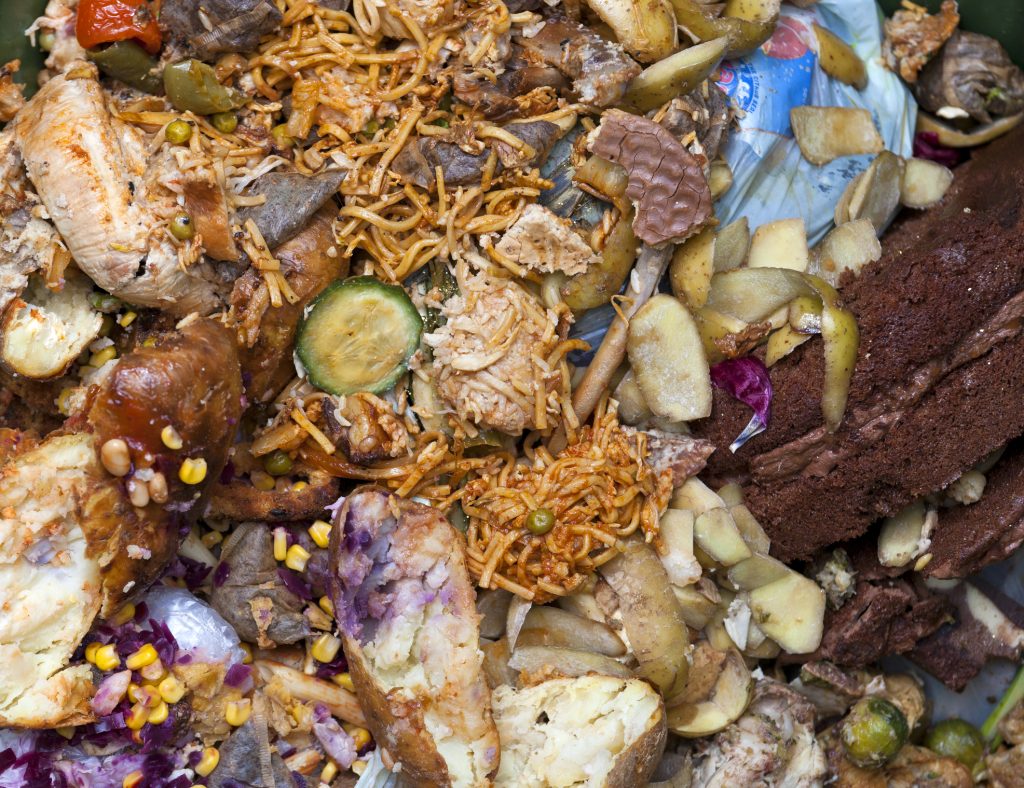 Condemned Food Waste? Expert Collection, Removal and Disposal Services